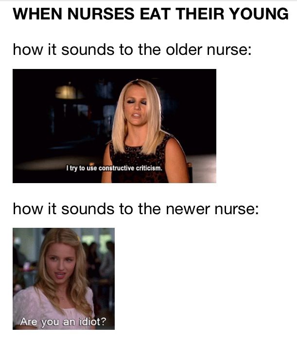 Do we really eat our young? - The Nurse Preceptor